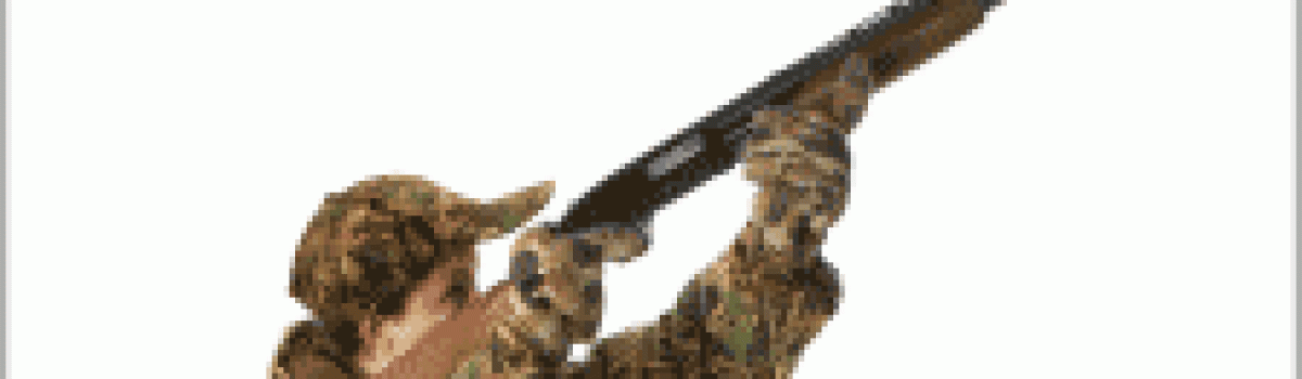 February 2010 | Shotgun Life