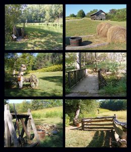 Pheasants Two Ways At Primland | Shotgun Life