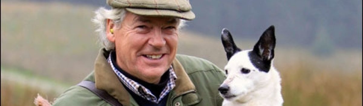 Silvio Calabi, Author At Shotgun Life