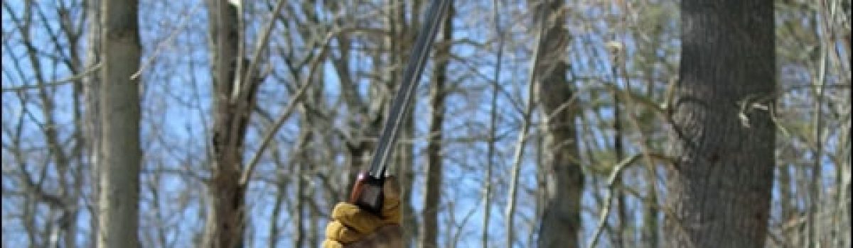 Katherine Rizzo, Author At Shotgun Life