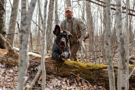 Overcoming In-Season Obstacles With Your Bird Dog | Shotgun Life