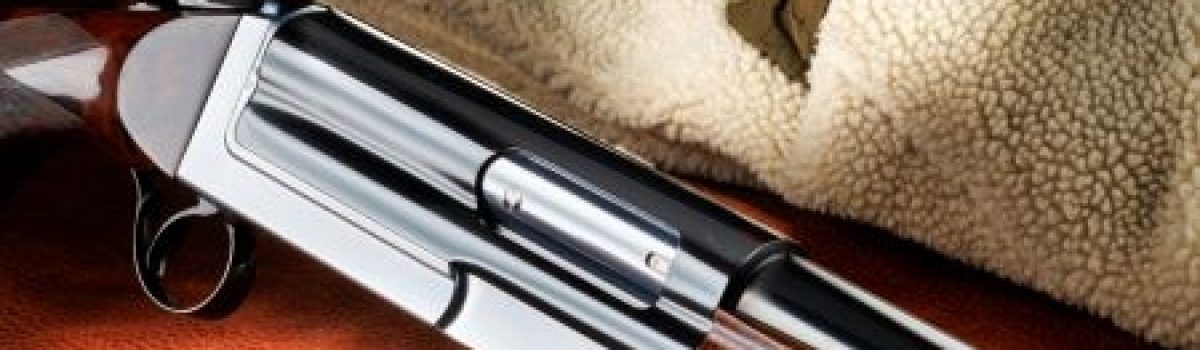 November 2022 | Shotgun Life