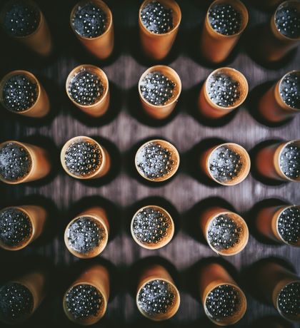 Shotgun Shell Gauges: Unraveling The Key Differences | Shotgun Life