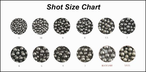 Unpacking The Pellet Count In 12-Gauge Shotgun Shells | Shotgun Life