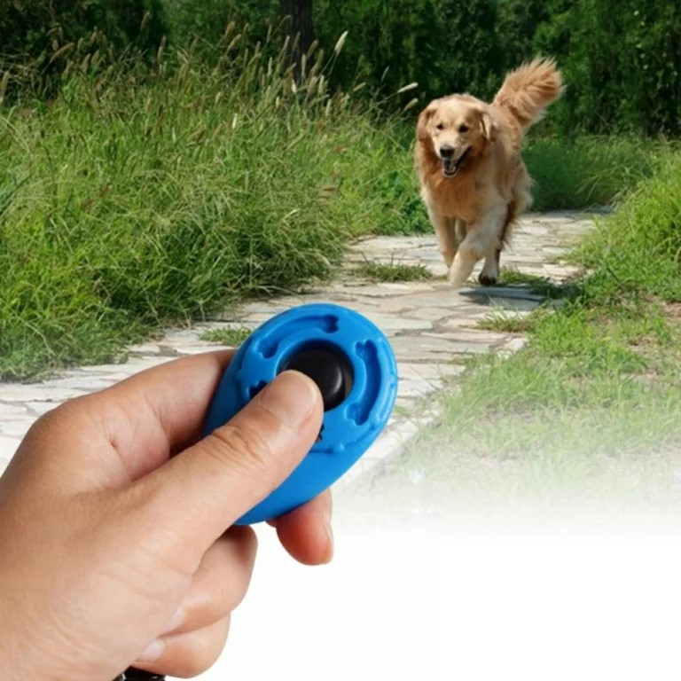 Kickstarting Clicker Training: A Simple Guide For Bird Dogs | Shotgun Life